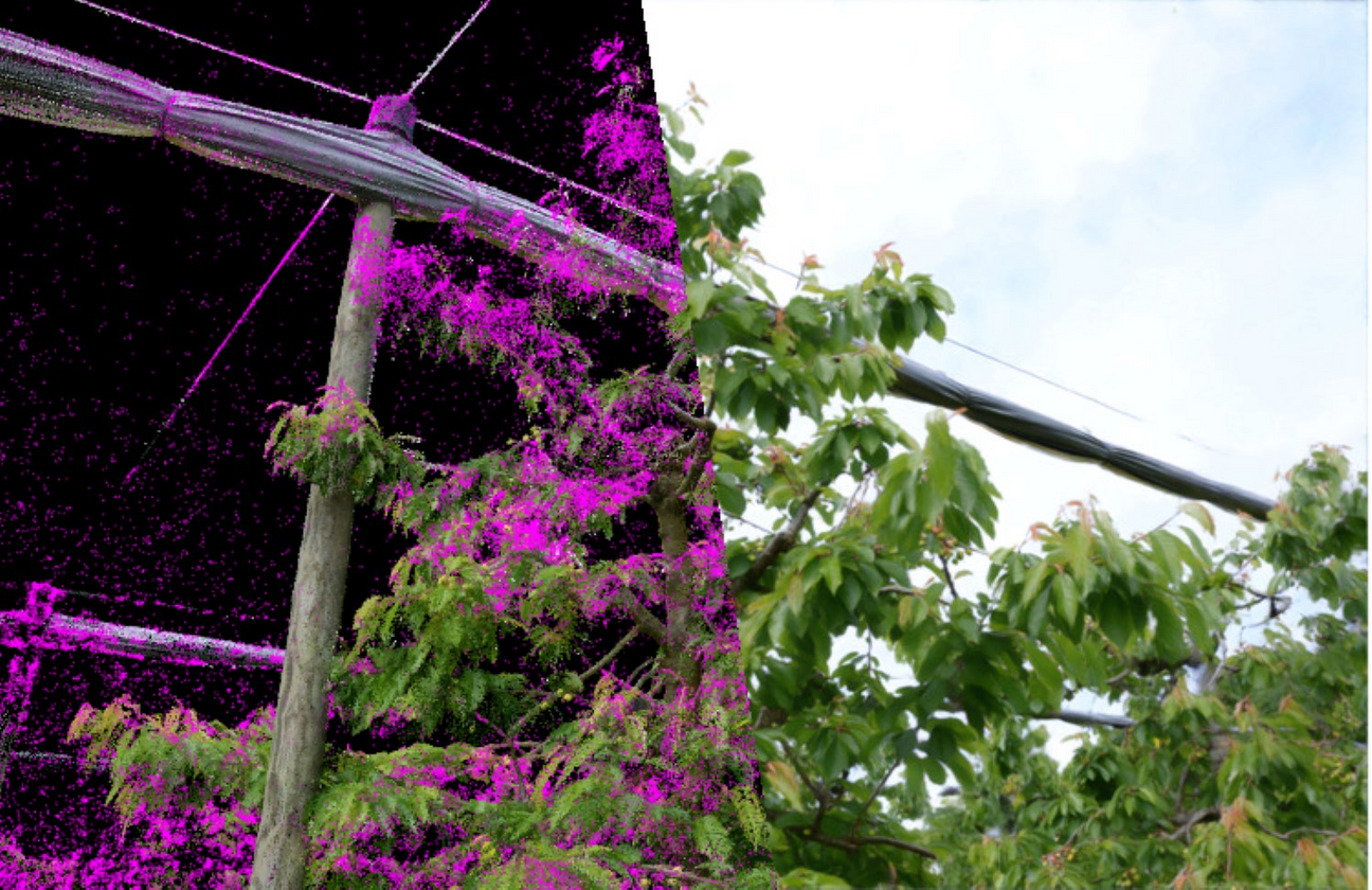 VET: Visual Error Tomography